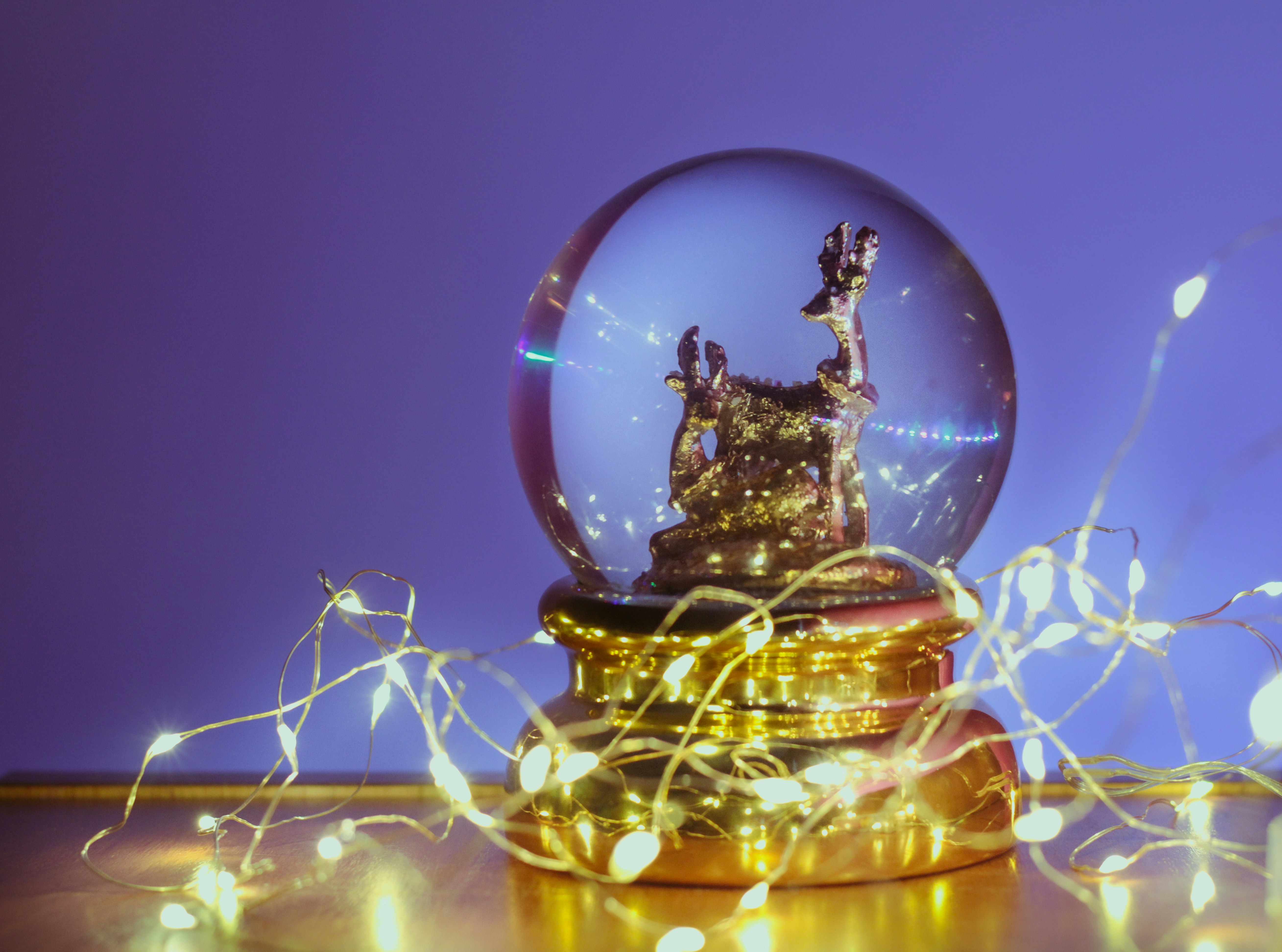 Holiday Snow Globes | Panorama Mountain Resort | Panorama Mountain Resort