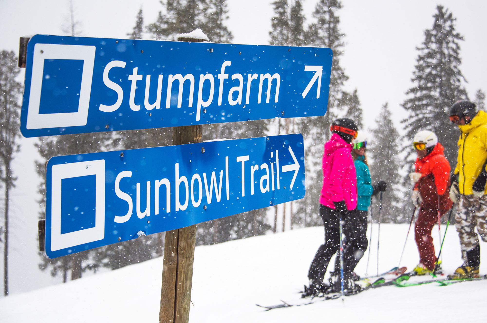 Training & Courses | Level 1 Instructor Certification | Panorama ...